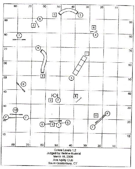Rising Star Border Collies -- Course Map ACE Agility Club 3-15-09