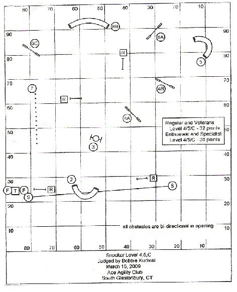 Rising Star Border Collies -- Course Map ACE Agility Club 3-15-09