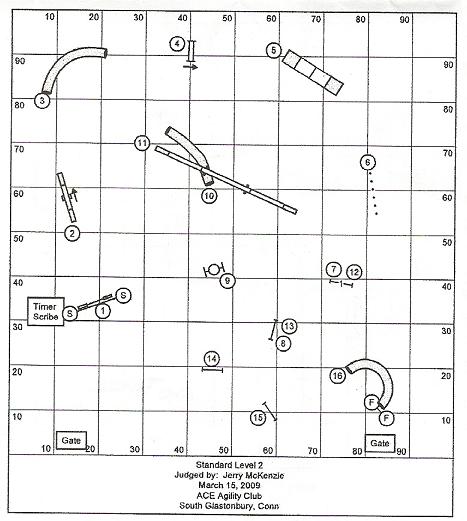 Rising Star Border Collies -- Course Map ACE Agility Club 3-15-09